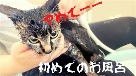 初めてのお風呂でやってしまった・・・！ Youtube