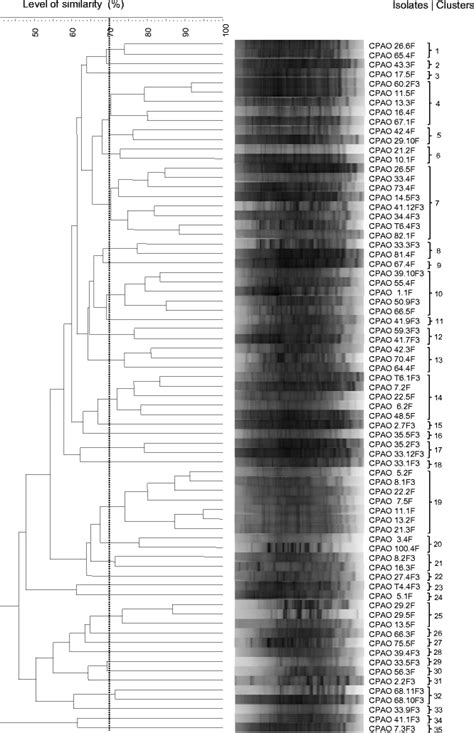 cluster analysis based on the upgma method and the jaccard coefficient
