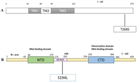 Pathogens Topical Collection Sars Cov 2 Infection And Covid 19 Disease