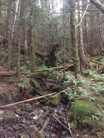 Visit Tongass National Forest Ketchikan 2019 All You Need To Know