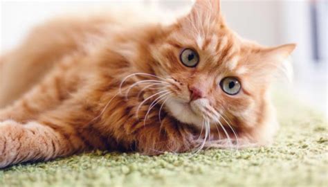 پنج حقیقت شگفت‌انگیز از جهان هستی که انتظارش را ندارید