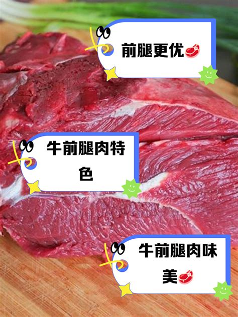 牛腿前腿好还是后腿好