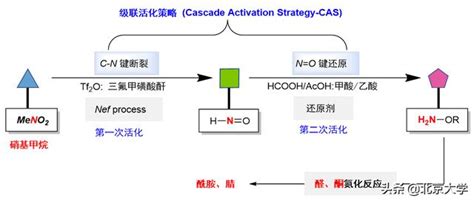 小分子大功能 Science發表焦寧研究團隊氮化反應新突破 每日頭條