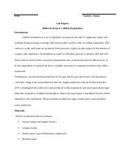 Lab Report Respiration Docx Babe S Name Date Lab Report Midterm Project Cellular