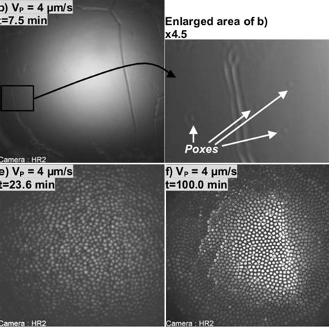 Microstructure Formation And Evolution For V P 4 µms Scn 024 Wt