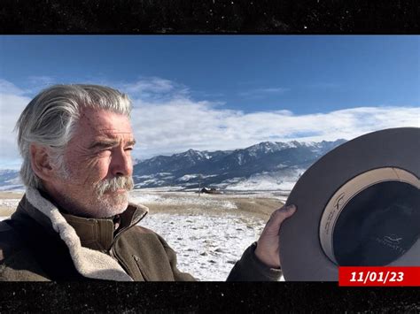 Actor Pierce Brosnan Pleads Guilty To Illegal Hiking Charge In