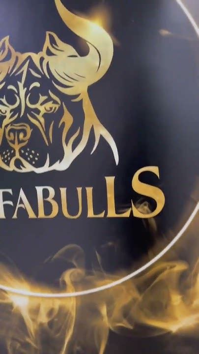 Все готово!))) Корм AlfaBulls спонсор ABKC. Выставка 10 декабря. за ...