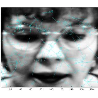 Example Of Images With Extracted Sift The Images Represent The Same Download Scientific