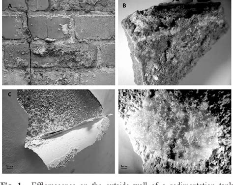 Halophilic Microorganisms Semantic Scholar