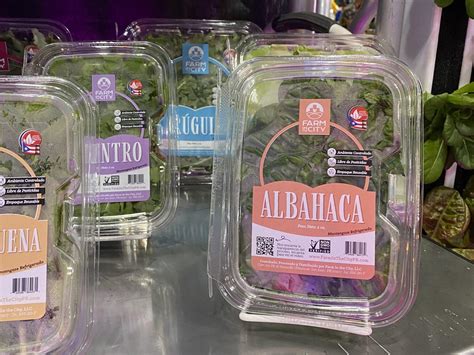 Nucleus Program Climactiva