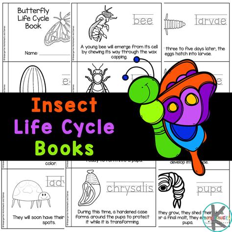 Free Printable Insect Mini Book Br