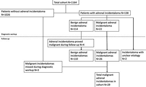 Flow Chart Of Adrenal Incidentalomas And Corresponding Etiology During