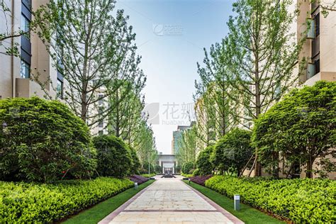 现代高层住宅小区园林中的园林景观与绿化草坪