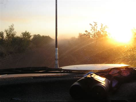 Some Like It Hot Temperature Dependent Sex Determination Tsd In