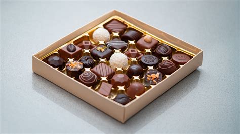 60 Best Metaphor Examples College Transitions