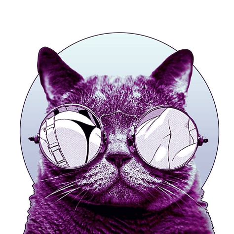 Котик в очках рисунок 73 фото