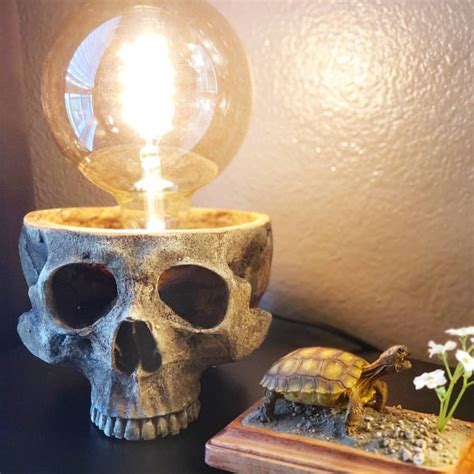 Human Skull Shop Catacomb Culture 36