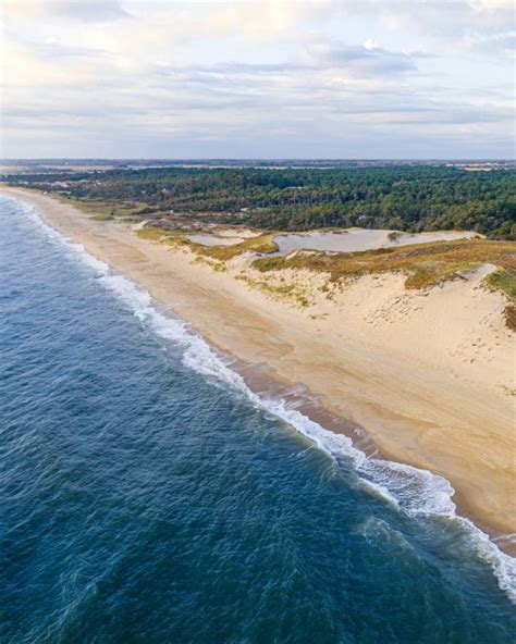 Cape Henlopen State Park Visit Delaware