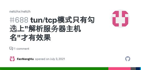 tun tcp模式只有勾选上 解析服务器主机名 才有效果 Issue 688 netchx netch GitHub