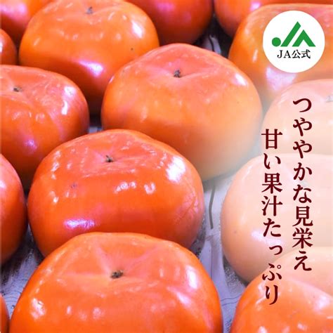 美味しい柿の見分け方は色や形のポイントや種類ごとの特徴を解説 JAいび川公式オンラインショップ岐阜県揖斐郡から自慢の柿をお届け