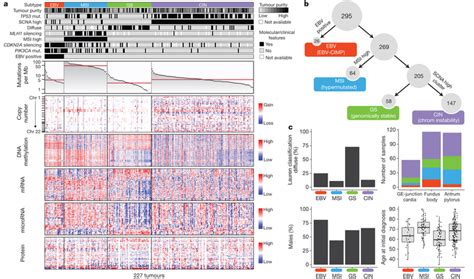 Molecular Subtypes Of Gastric Cancer A Gastric Cancer Cases Are