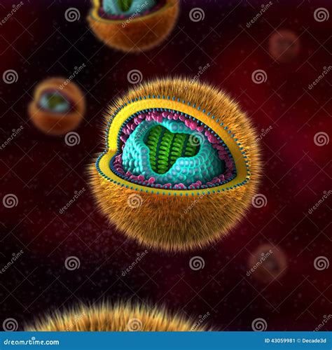 Herpes Simplex Virus Particle Structure Stock Image