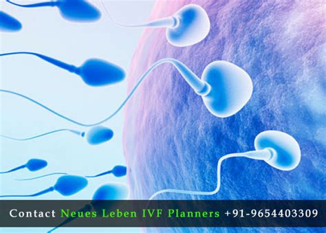 Male Infertility Treatment In Delhi