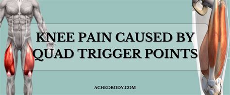 Can Quad Trigger Points Cause Knee Pain The Ached Body Can Quad Trigger Points Cause Knee Pain The Ached Body