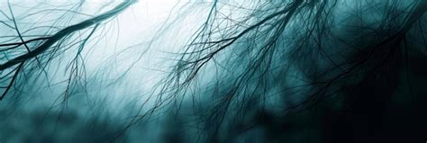 Premium Photo Abstract Minimalist Representation Of The Interconnectedness Of Nature Using