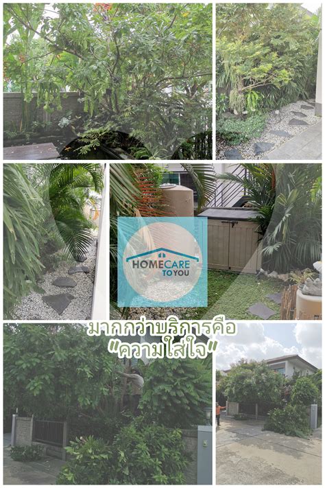 บริการตัดหญ้าตัดแต่งต้นไม้ บ้านสวนแอร์ Homecaretoyou ให้บริการดูแลบ้านระดับ “พรีเมี่ยม