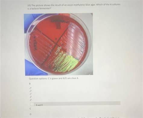 Solved 10 The Picture Shows The Result Of An