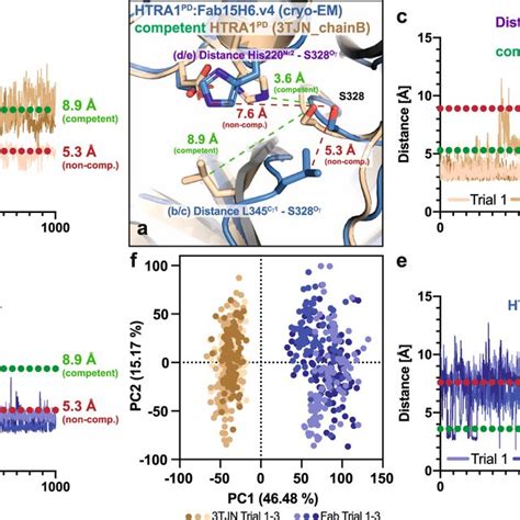 Molecular Dynamics MD Simulations Show That Binding Of Fab15H6 V4 To