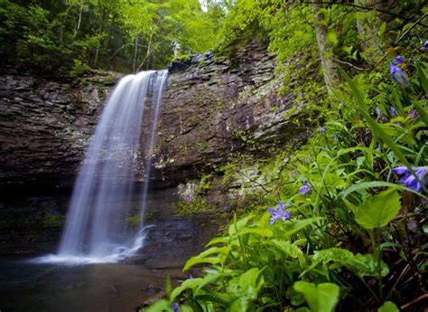 Dade Co Cloudland Canyon Waterfalls Trail Visit Northwest Georgia