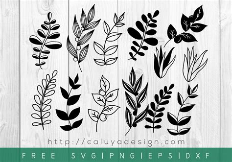Free Botanical Leaves Svg Png Eps And Dxf Download