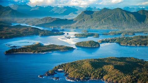 Vancouvers Ultra Remote Island Lodge Offers Unique Adventures Seaweed