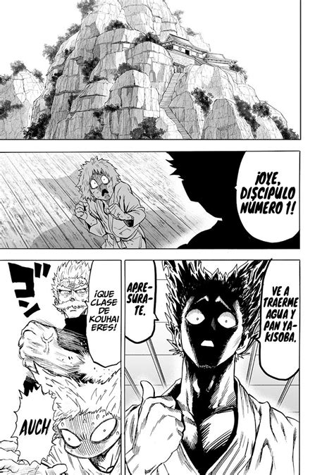 An Edit I Made So That Garou Had His Old Hairstyle Ronepunchman