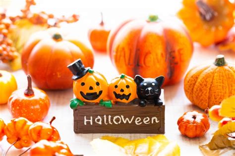 【ハロウィン】玄関の飾りはいつからいつまで？子どもも一緒に楽しめる飾り付け【100均グッズも紹介】 ツレうつママのブログ
