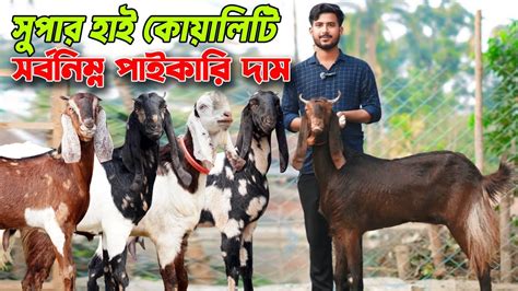 সুপার হাই কোয়ালিটিফুল উন্নত জাতের ছাগল কালেকশন করুন সর্বনিম্ন পাইকারি দামে। Youtube