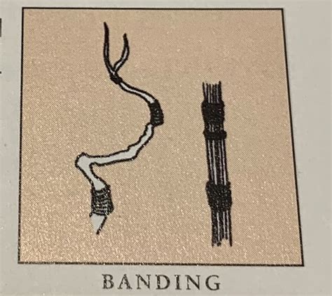 DESIGN TECHNIQUES Flashcards Quizlet DESIGN TECHNIQUES Flashcards Quizlet