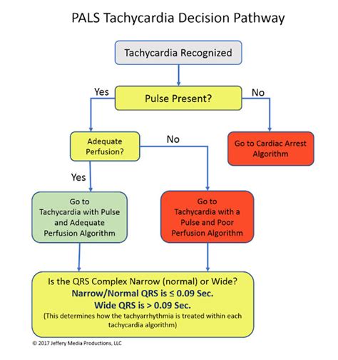 Pals Pediatric Advanced Life Support Algorithms