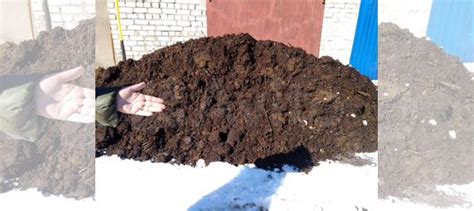 Чернозем в мешках купить в Богородске | Товары для дома и дачи | Авито