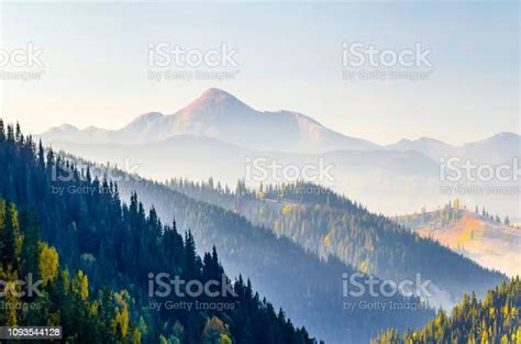 산에서 놀라운 부드러운 일출 파노라마입니다 Cerpathian 산 봉우리와 소나무의 꼭대기 위에을 언덕 0명에 대한 스톡 사진