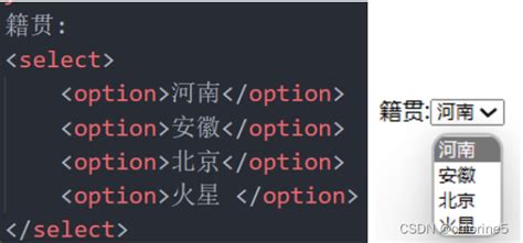 html常用标签及其用法 超详细整理 【下】 html跨列标签 csdn博客