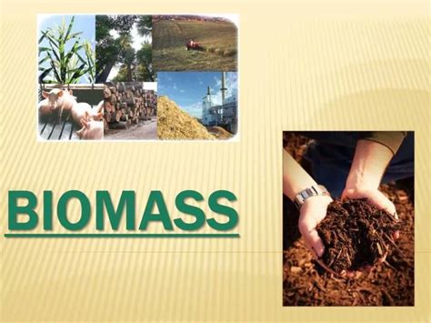 Ppt Biomass Powerpoint Presentation Free Download Id2226186