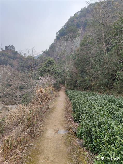 早春徒步安山古道 知乎