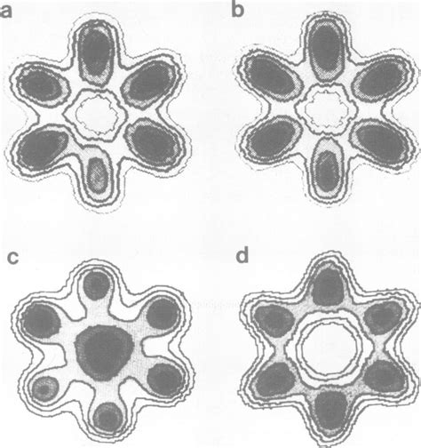 Averaged Reconstructions Of Subunit Deficient F17atpases Presented