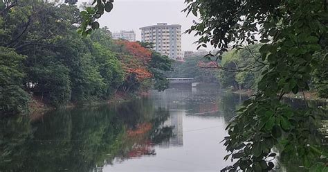 ধানমন্ডি লেকের পানিতে ভাসছিল শিশুর মরদেহ