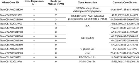 Expression Of The Key Genes Of The Starch Biosynthesis Pathway And