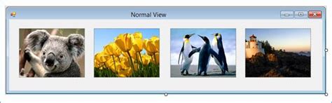 Displaying An Array Of Images In Picturebox C Mindstick