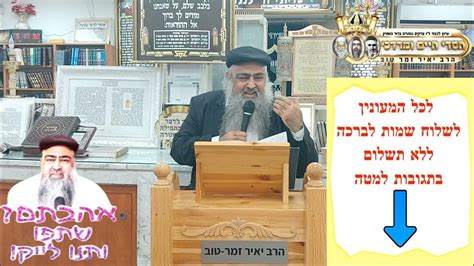 שלמה המלך תובנות אמת לחיים הרב יאיר זמר טוב Youtube